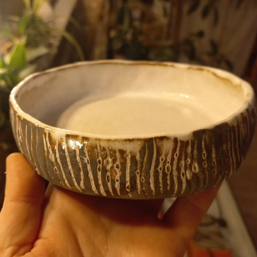 Миска для Евгении