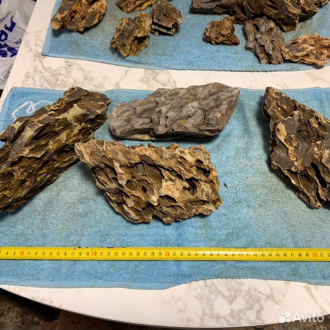 Камень Дракон