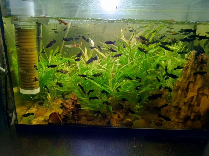 Украшение для аквариума