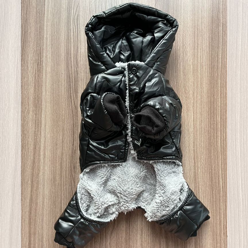 Одежда для маленьких собак