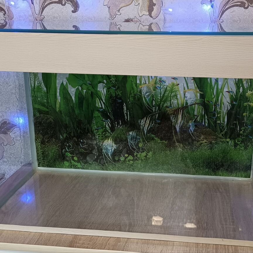 Аквариум