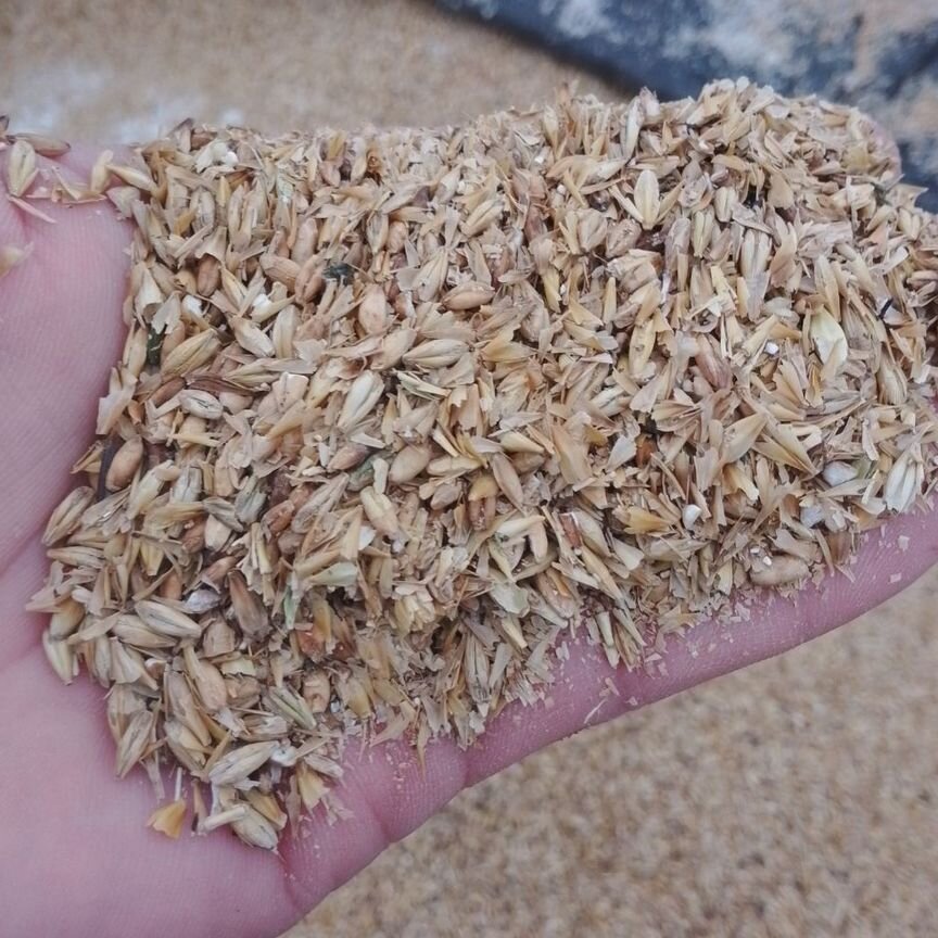 Зерноотходы пшеничные