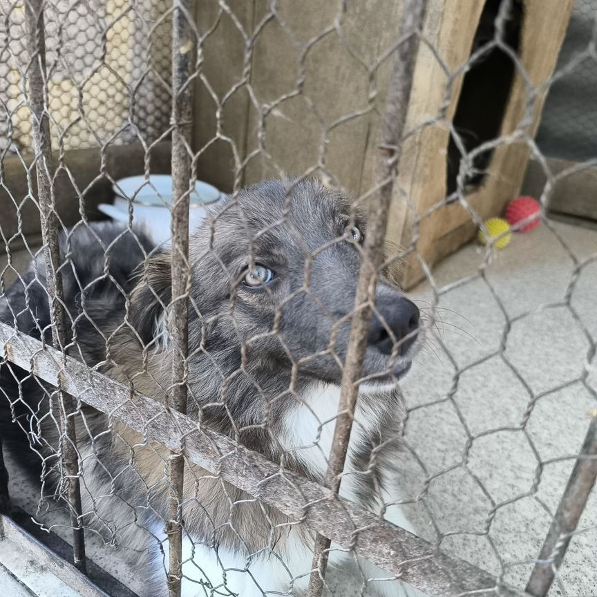 Ее предали, но она верит людям