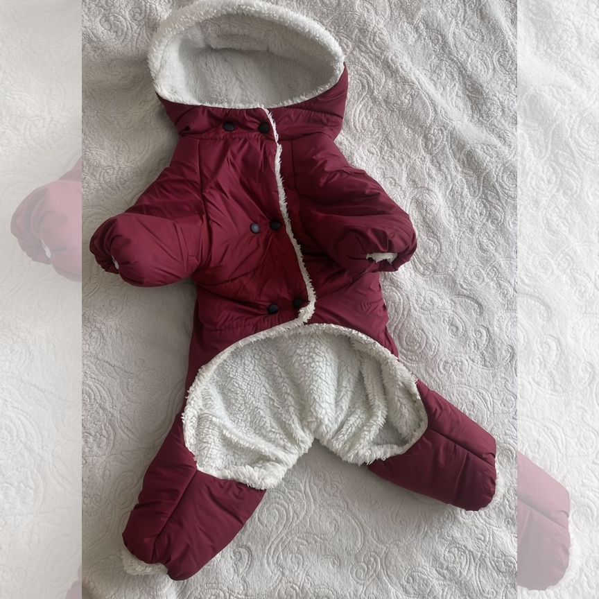 Зимняя одежда для собак