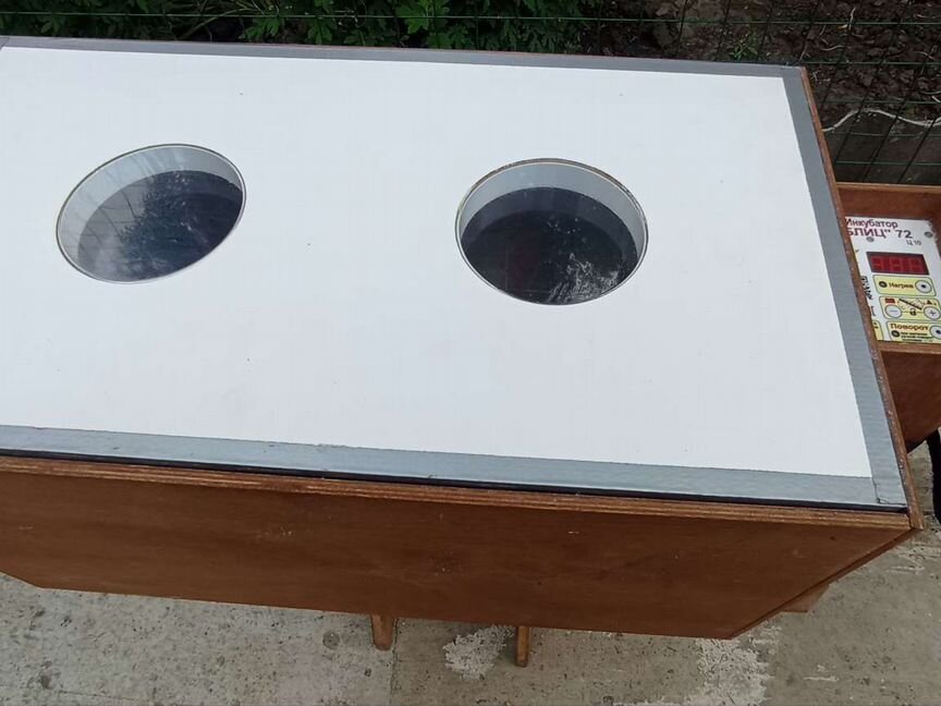 Инкубатор блиц 72цифровой