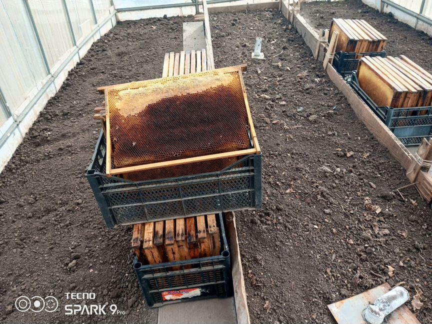 Рамки для пчел