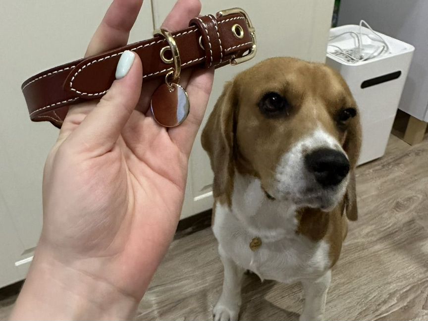 Ошейник airtag