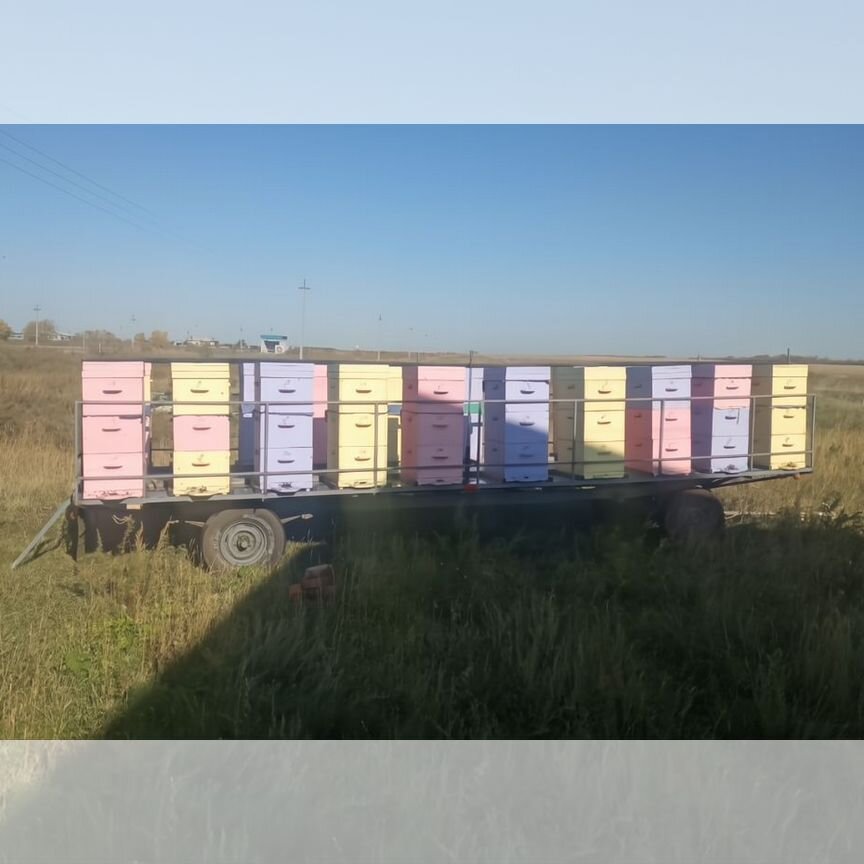 Прицеп Пасека, Пчеловодство инвентарь