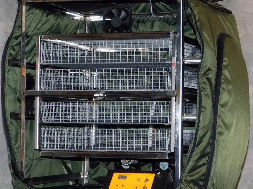 Инкубатор тгб 280