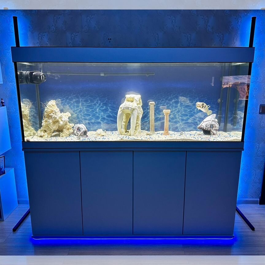 Морской Аквариум с тумбой и оборудованием