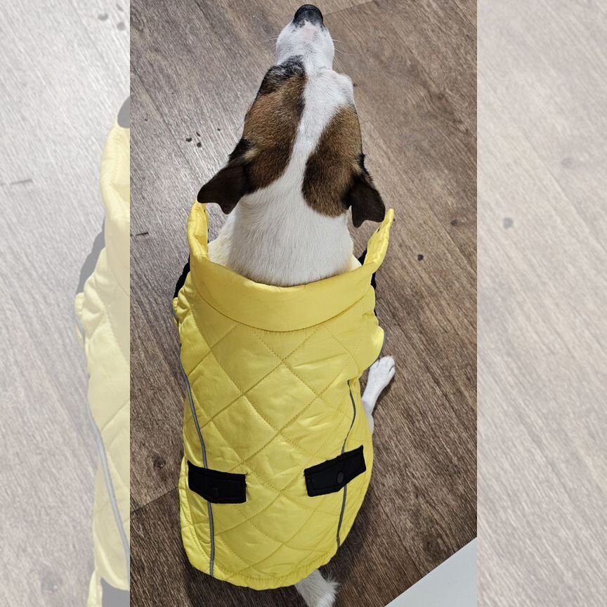 Жилет для собак