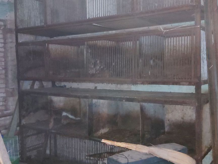 Клетки для разведения нутрий кроликов