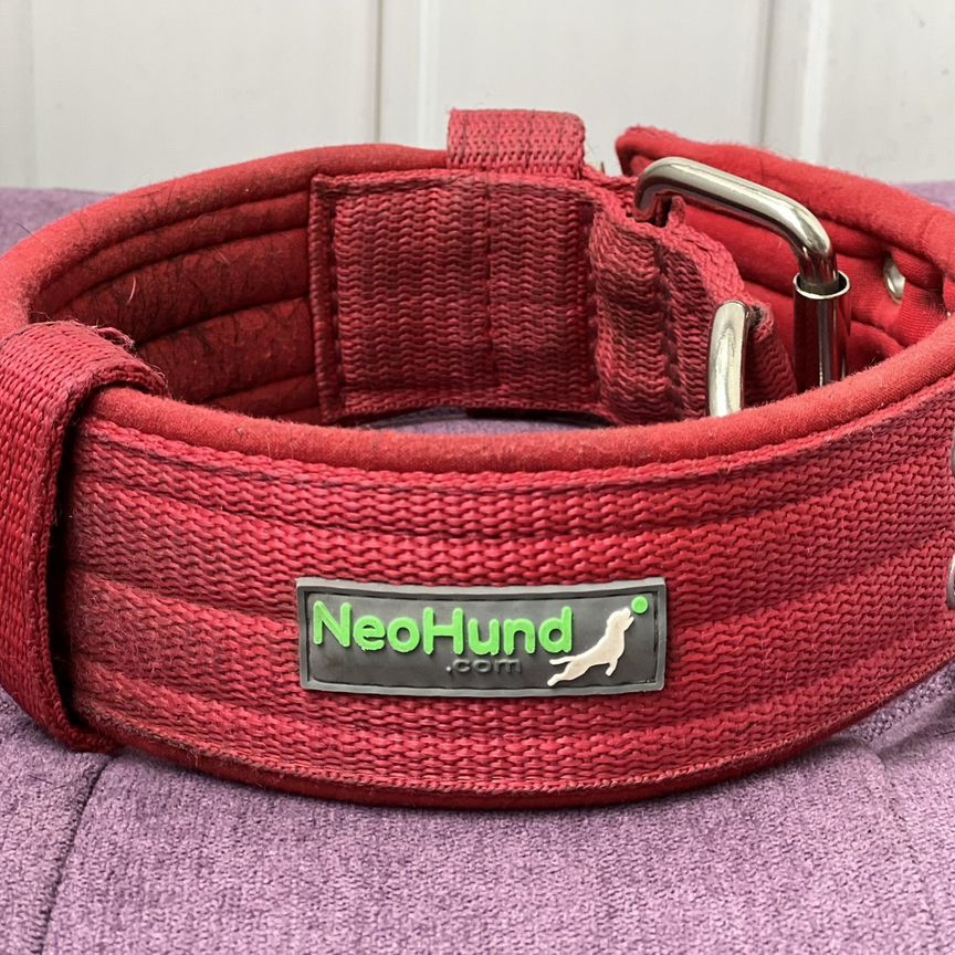 Ошейник NeoHund для собак средней породы