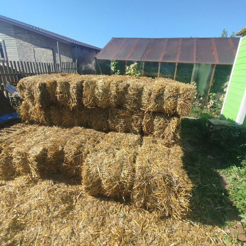 Солома овсяная в тюках