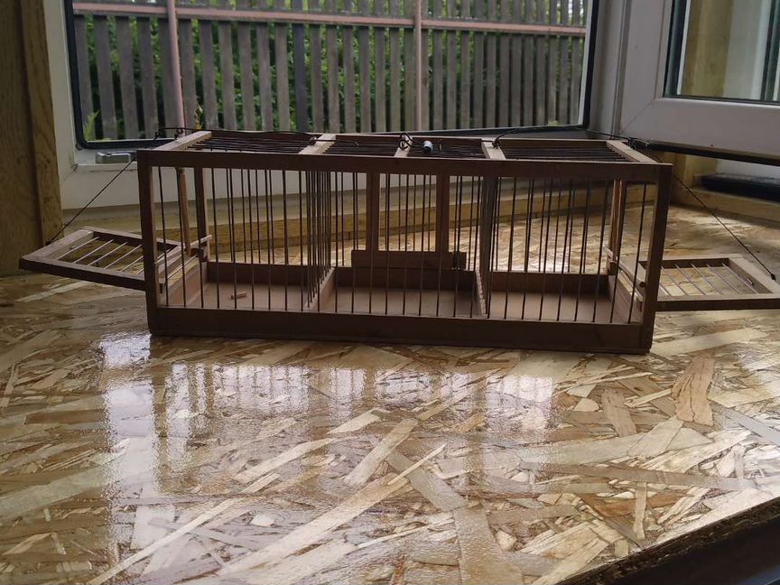 Западок для птиц