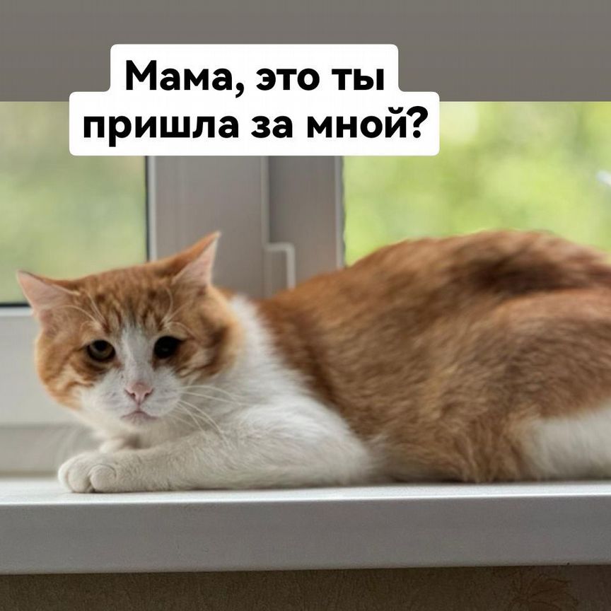 Почему Оливер так одинок