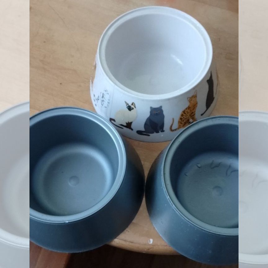 Миска для животных