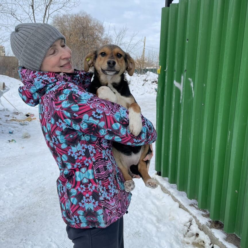 Щенок в добрые руки