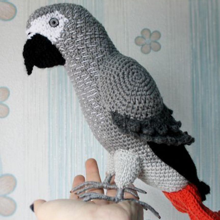 Попугай говорящий