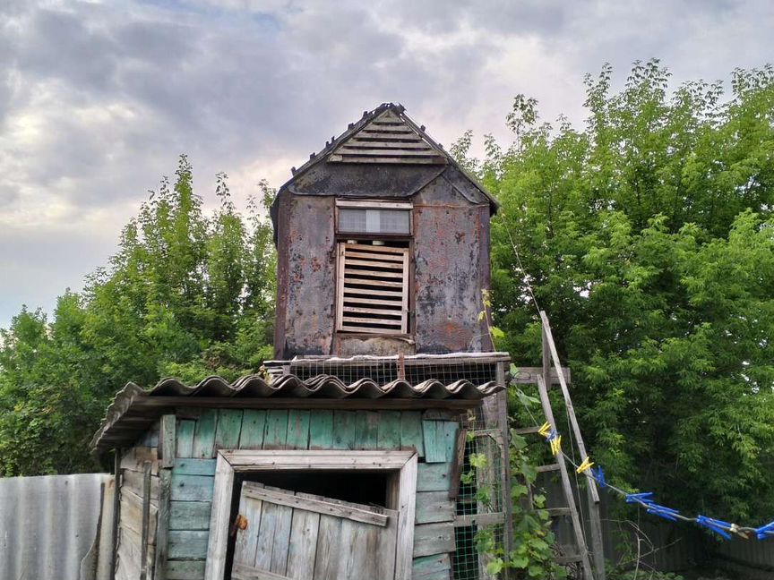 Голубятня продажа