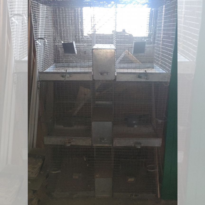 Клетки для шиншилл