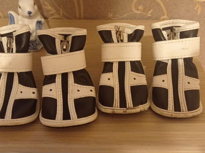 Обувь для собак