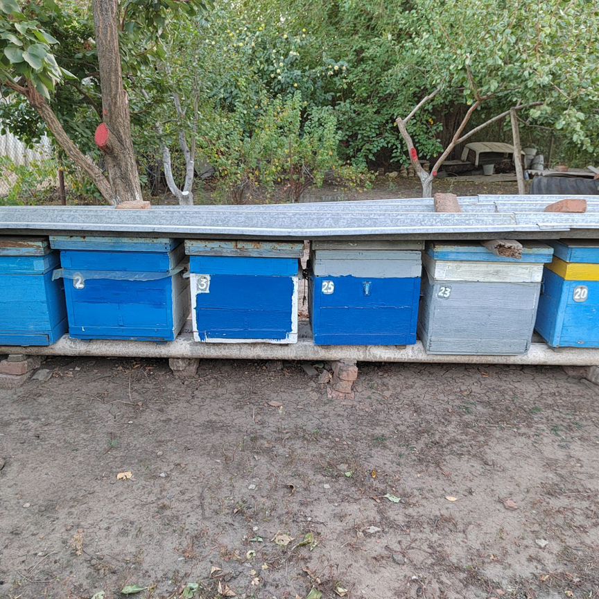 Продам ульи для пчел