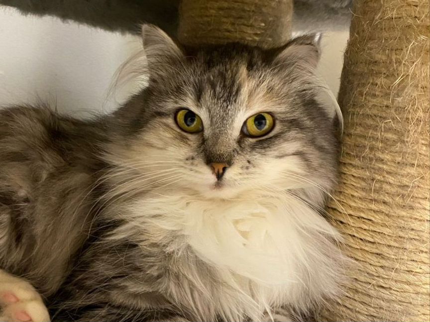 Никто не любит