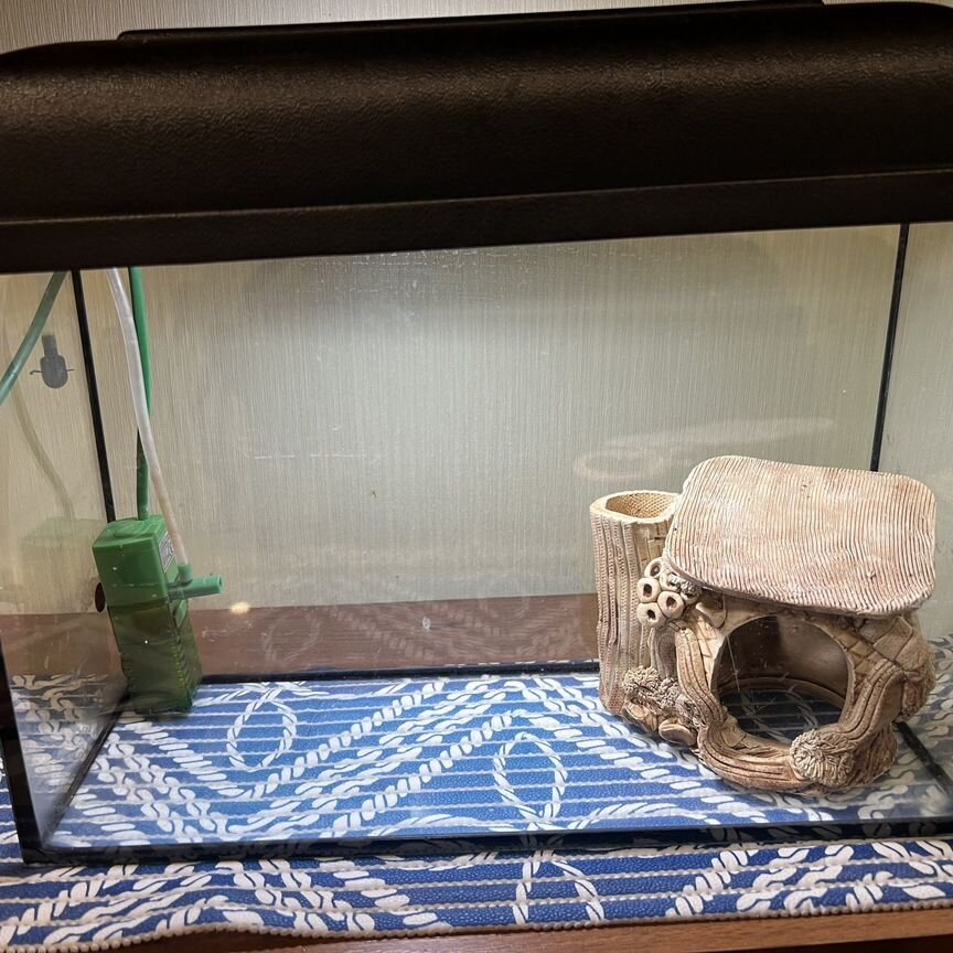 Аквариум с подсветкой и прочие