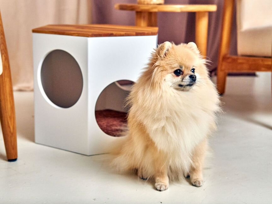 Домик лежак для Кошки и Собаки