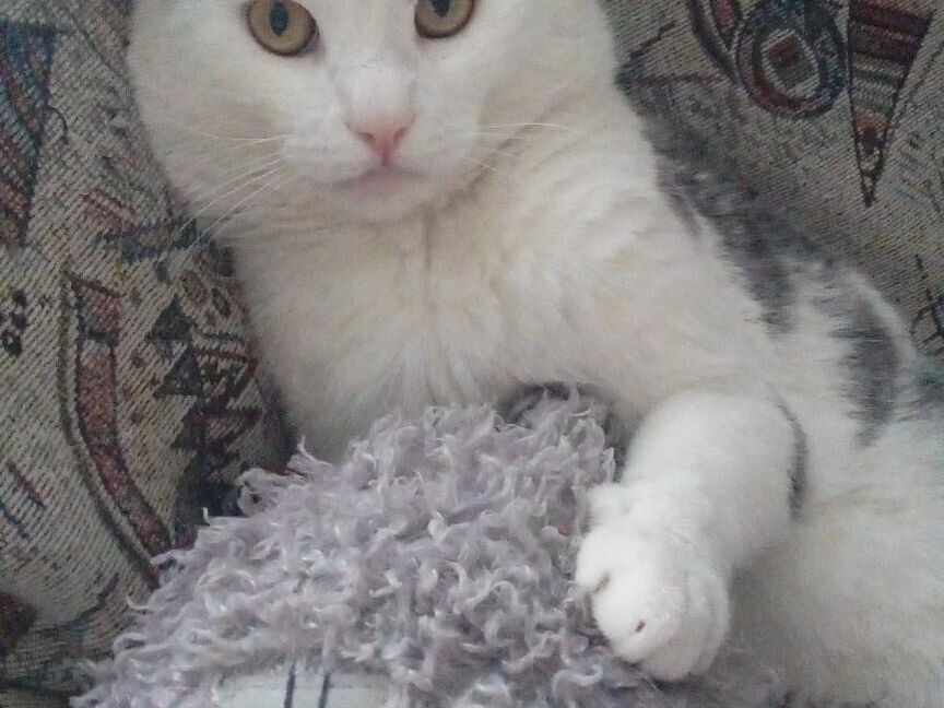 Найденыш Нафаня