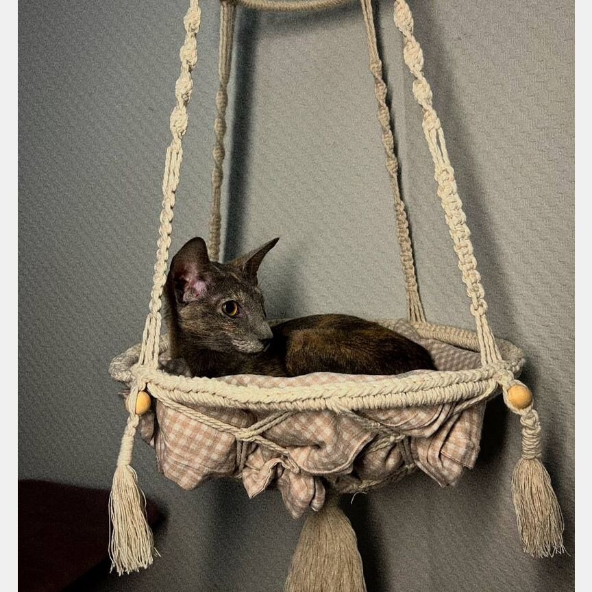 Гамак лежанка для кошки подвесной