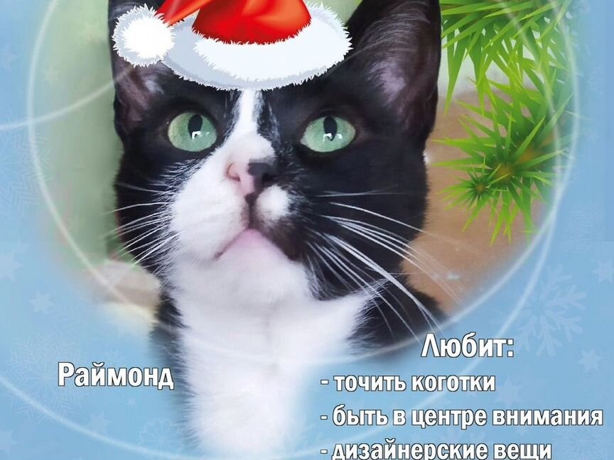 Новогоднее волшебство