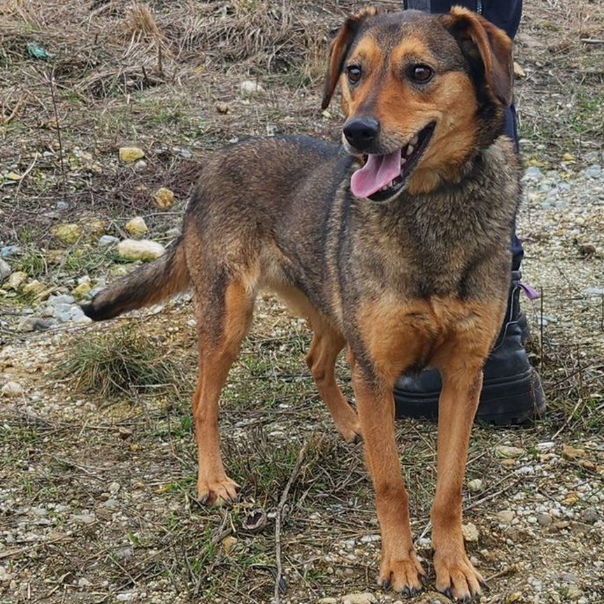 Нежная Герда