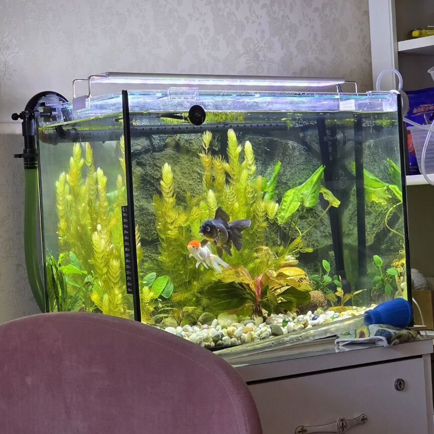 Аквариум 60л