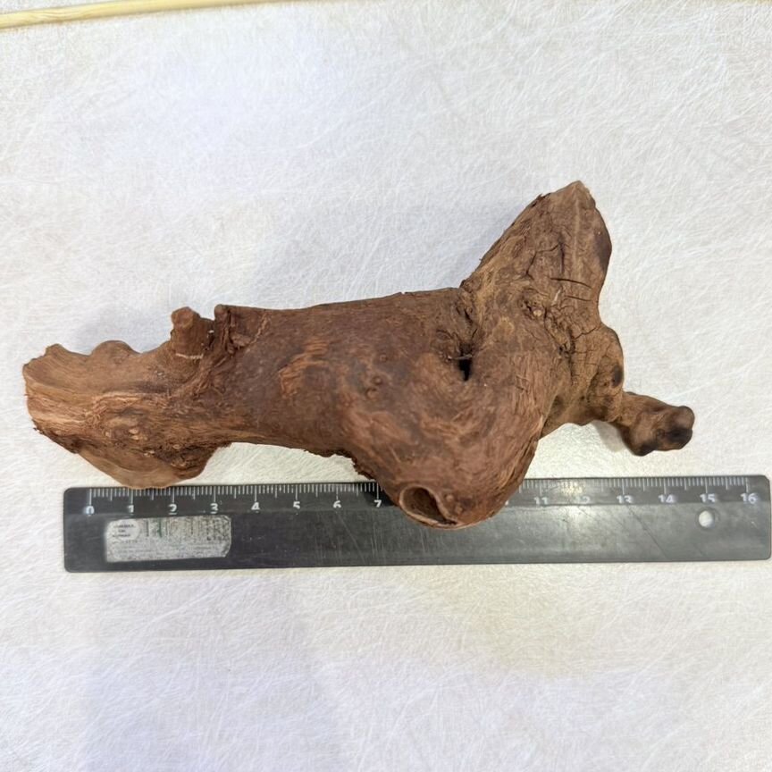 Коряга мангровая для аквариума