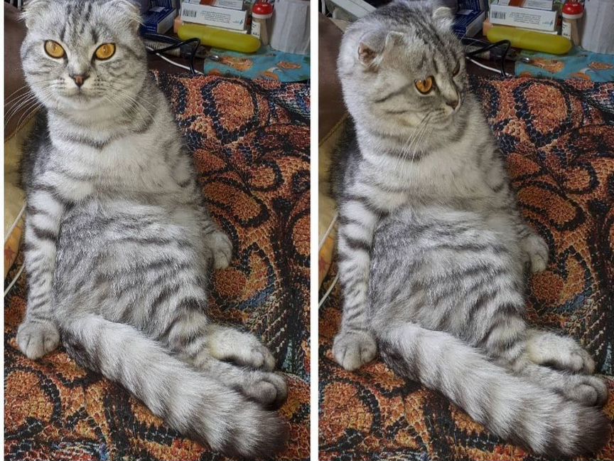 Мисси