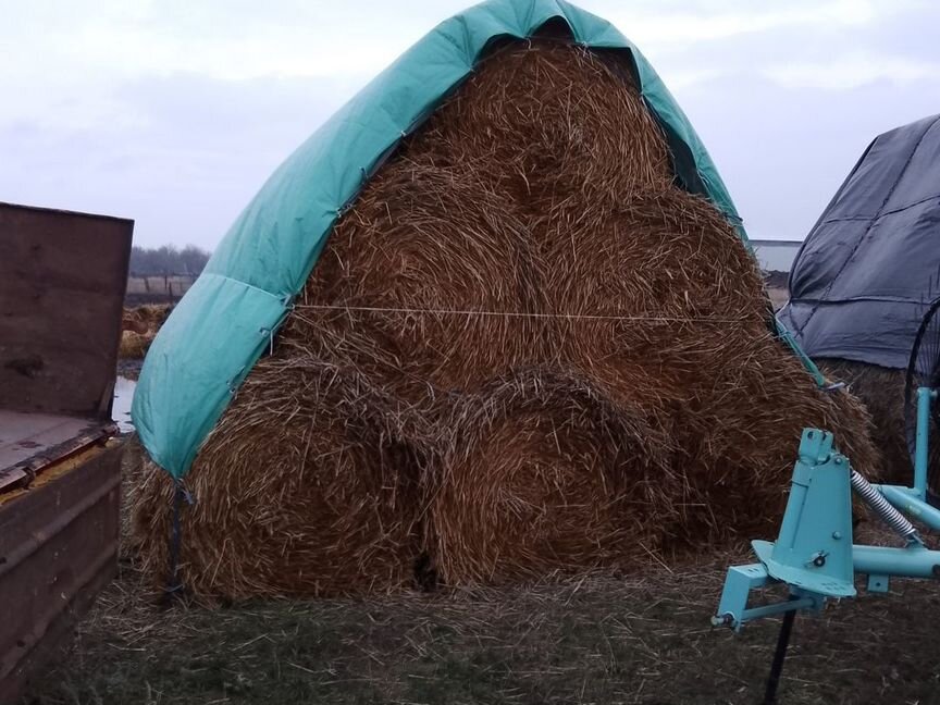 Солома в рулонах просяная и ячменная