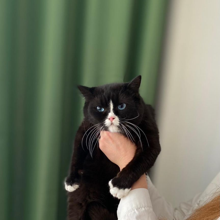 Котик Эдуард