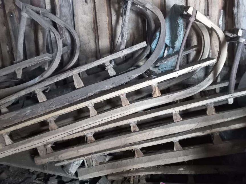 Товары для животных