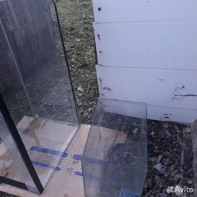 Терариум и аквариум