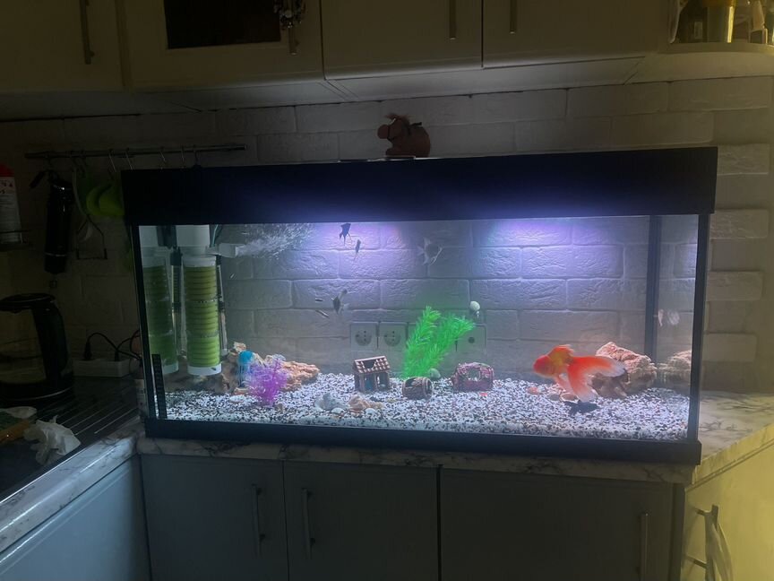 Аквариум на 200 литров