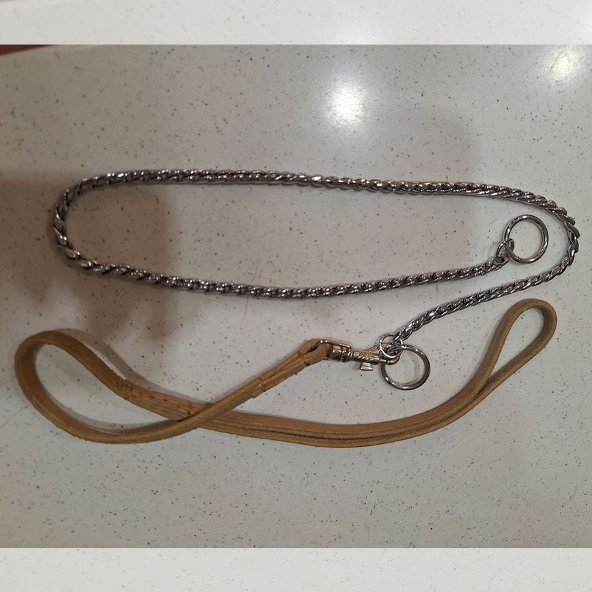 Ринговка выставочная