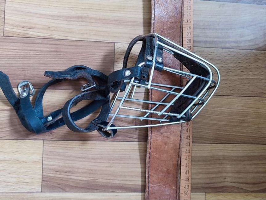 Ошейник. Намордник