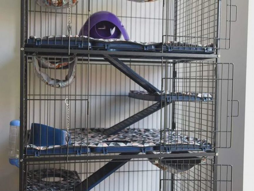Большая клетка для шиншилл, попугая, хорька, дегу