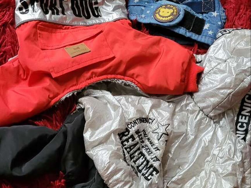 Костюмы демисезон собачьи