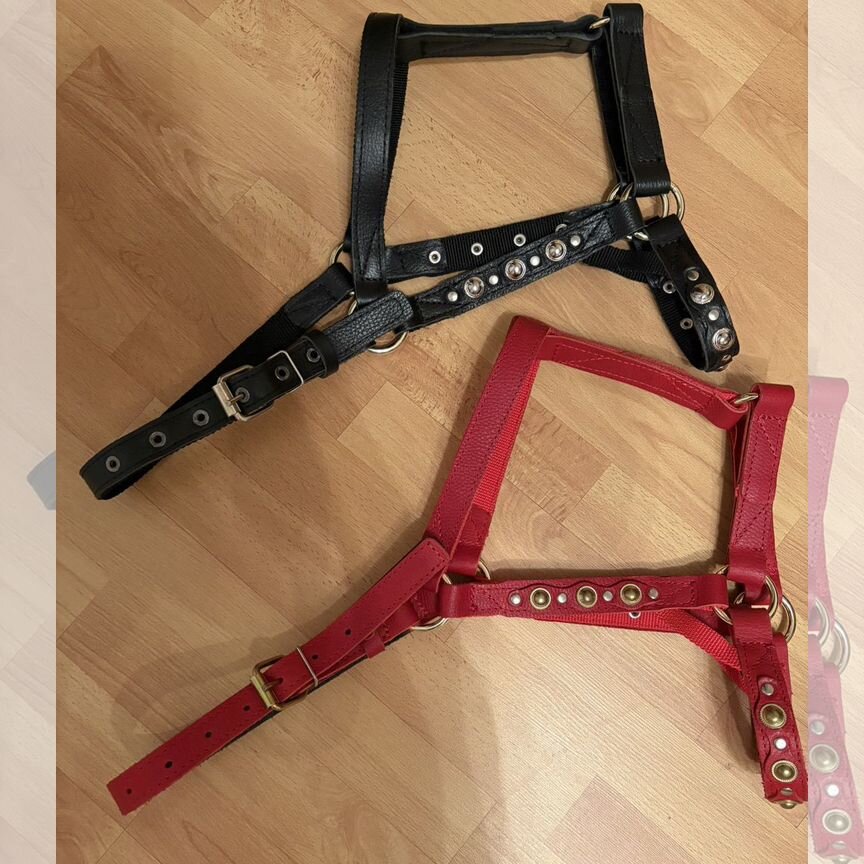 Недоуздок для лошади