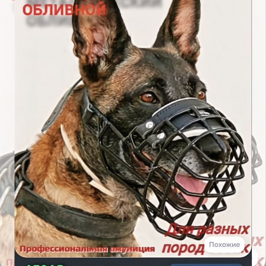 Намордник fordogtrainers