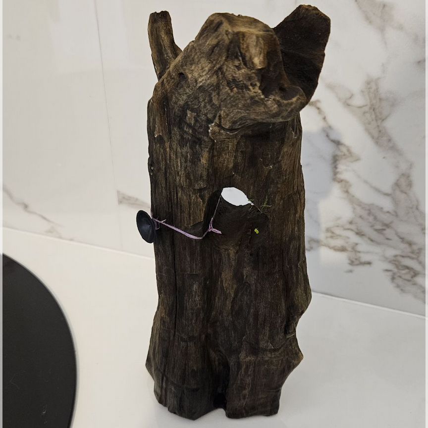 Коряга для аквариума бу