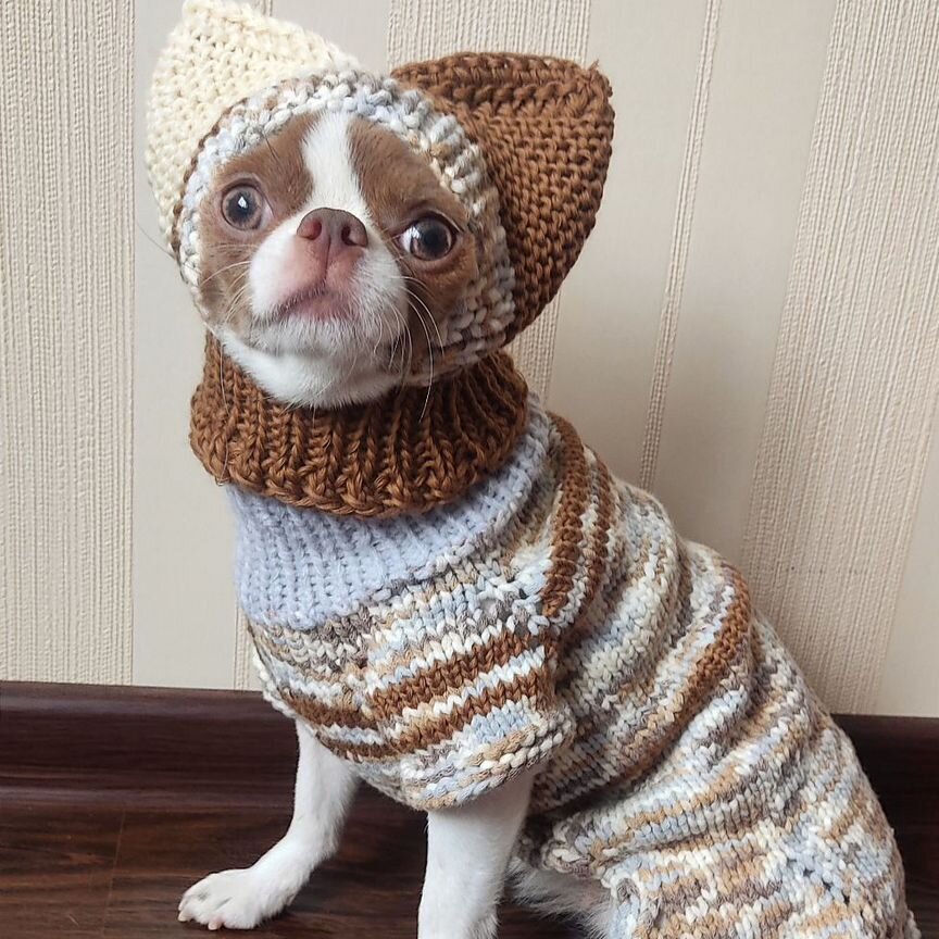 Комбинезон и шапочка